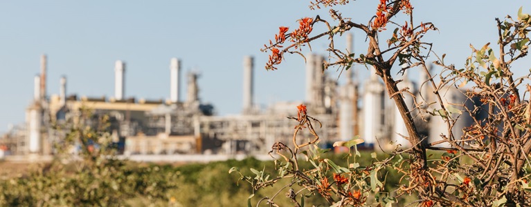 Contact Us | Global Office Locations - Woodside Energy