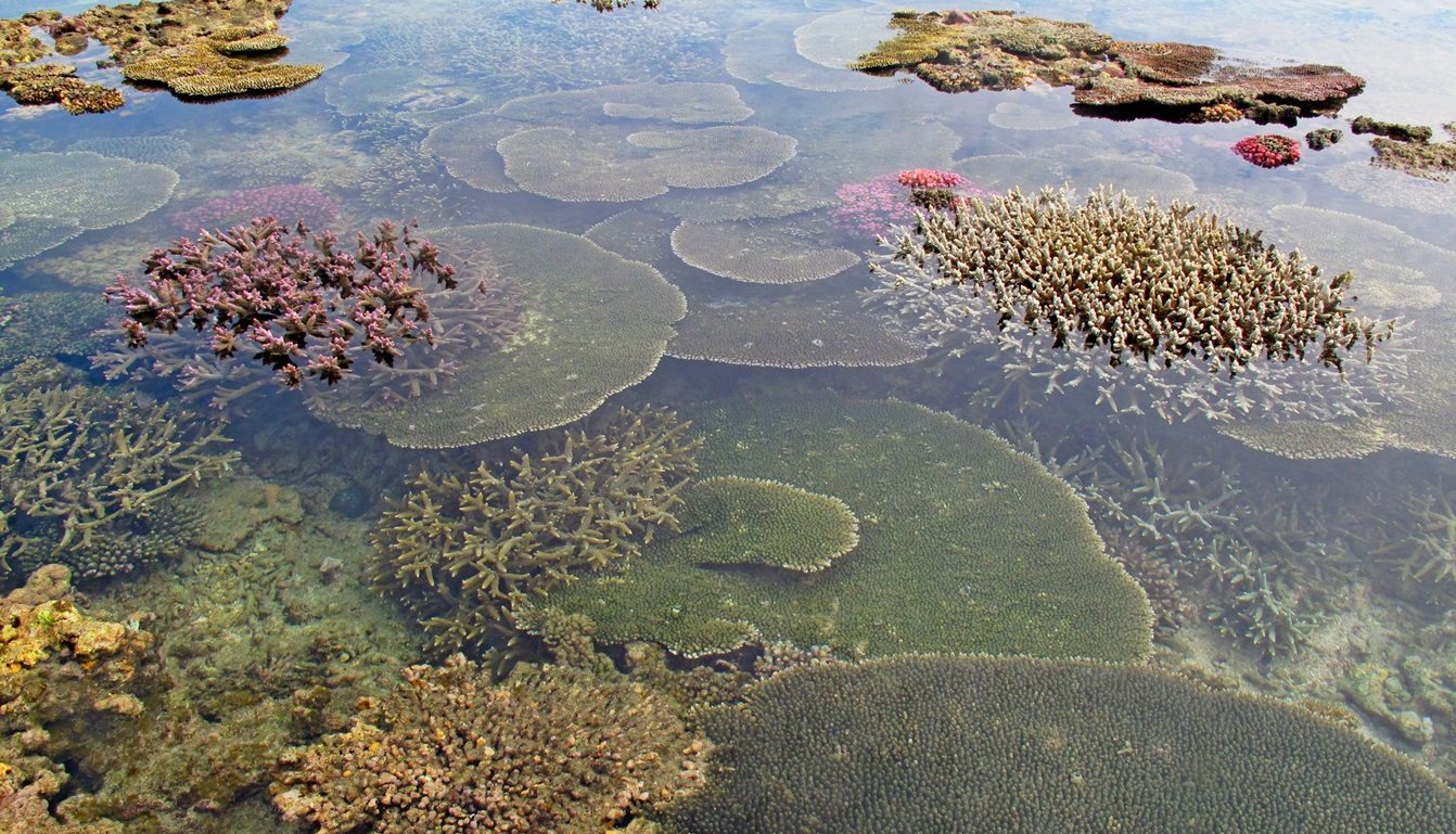 Environment and biodiversity