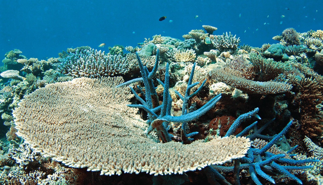 Environment and biodiversity