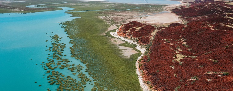 Sustainability - Woodside Energy